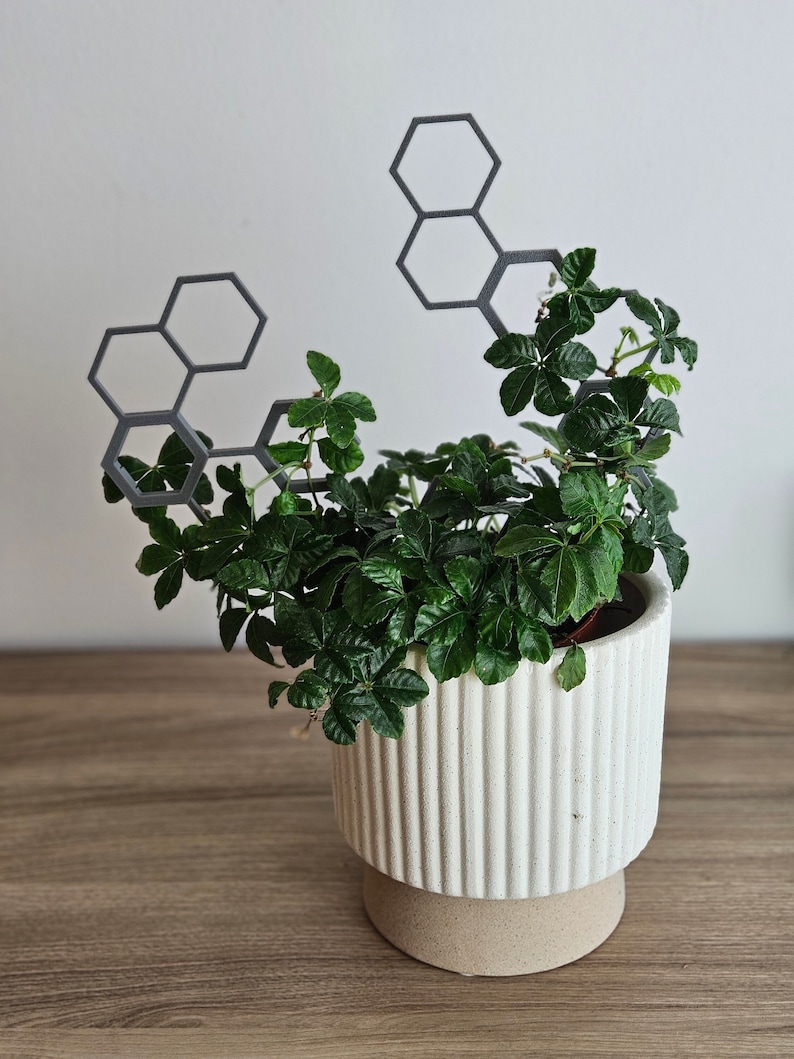 Modulare Rankhilfe - Ränky, Rankgitter für Zimmerpflanzen, Design ...