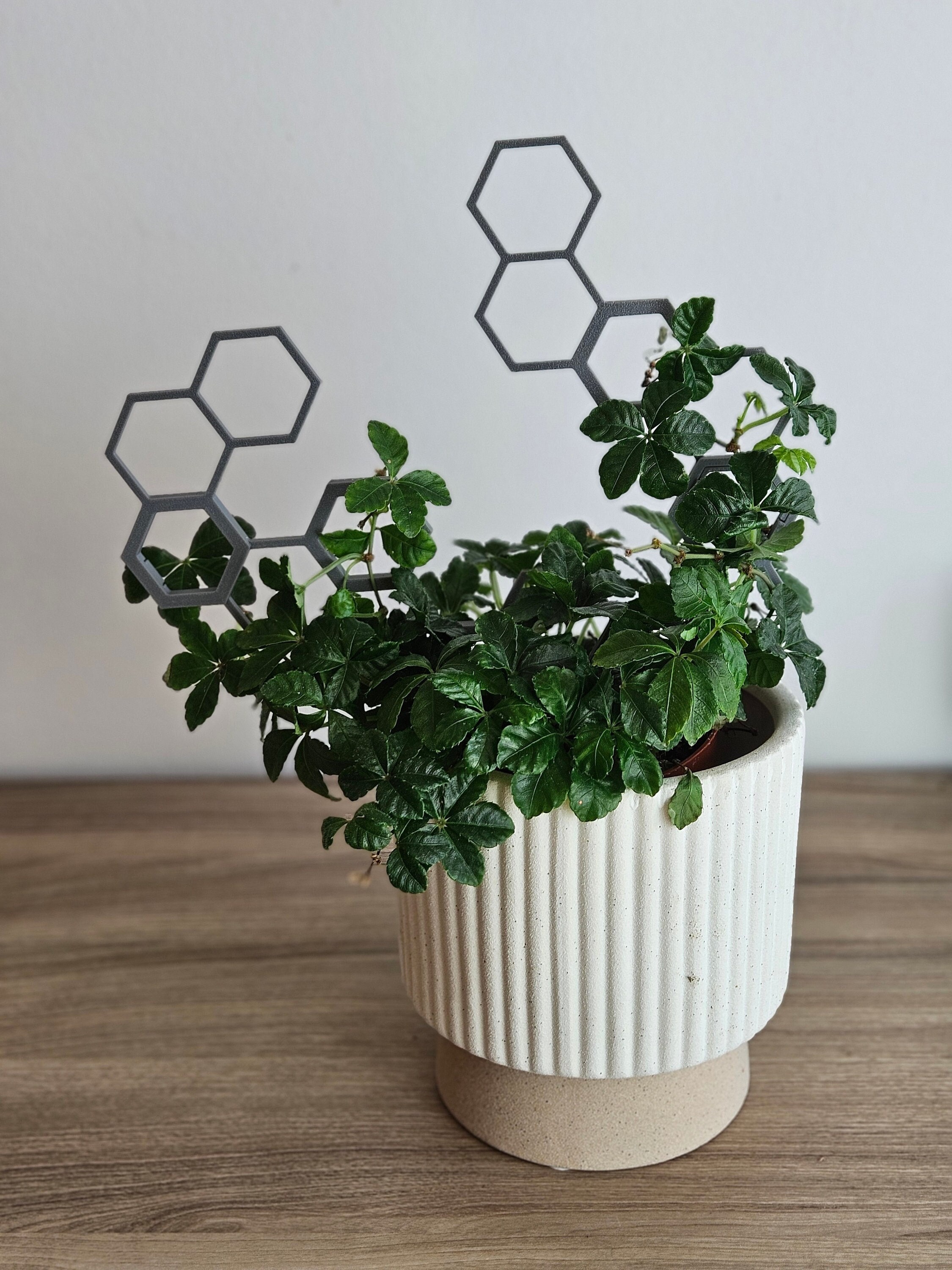 Modulare Rankhilfe - Ränky, Rankgitter für Zimmerpflanzen, Design ...