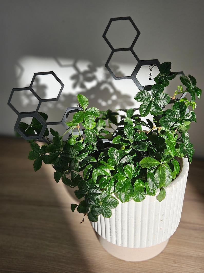 Modulare Rankhilfe - Ränky, Rankgitter für Zimmerpflanzen, Design ...