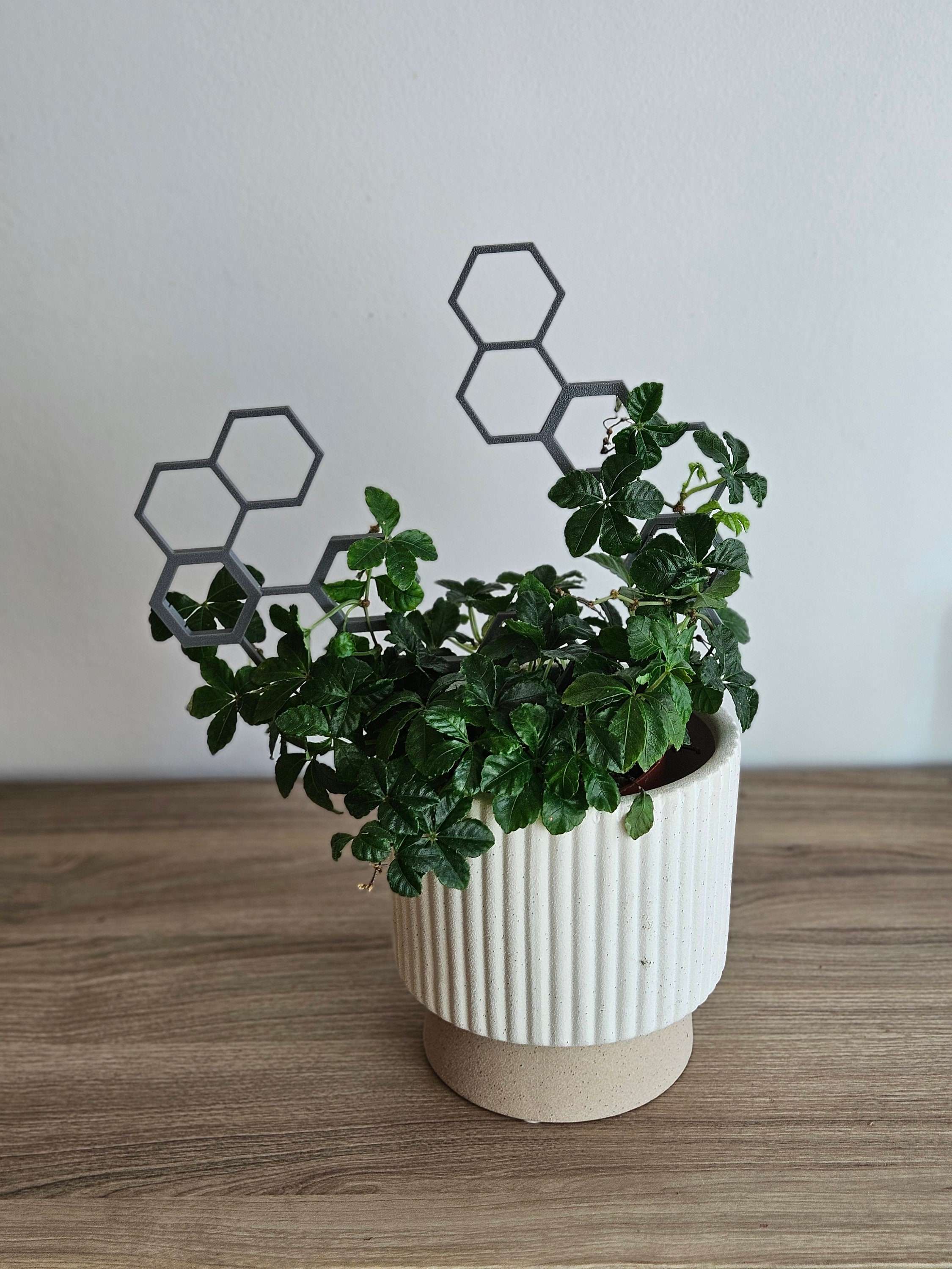 Modulare Rankhilfe - Ränky, Rankgitter für Zimmerpflanzen, Design ...