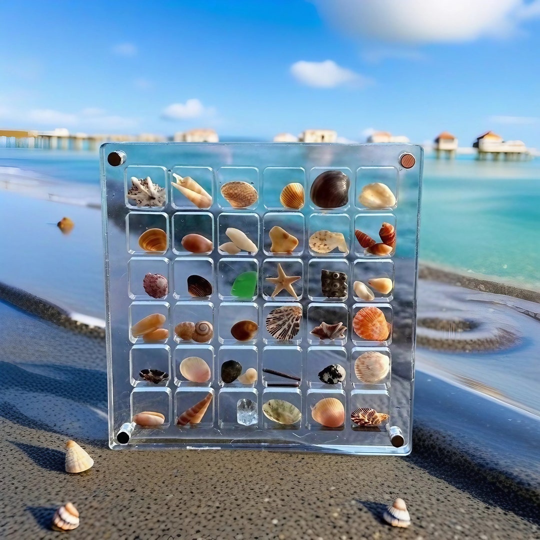 Acrylic Magnetic Seashell Display Box, Transparent Seashell Storage, 36 ...