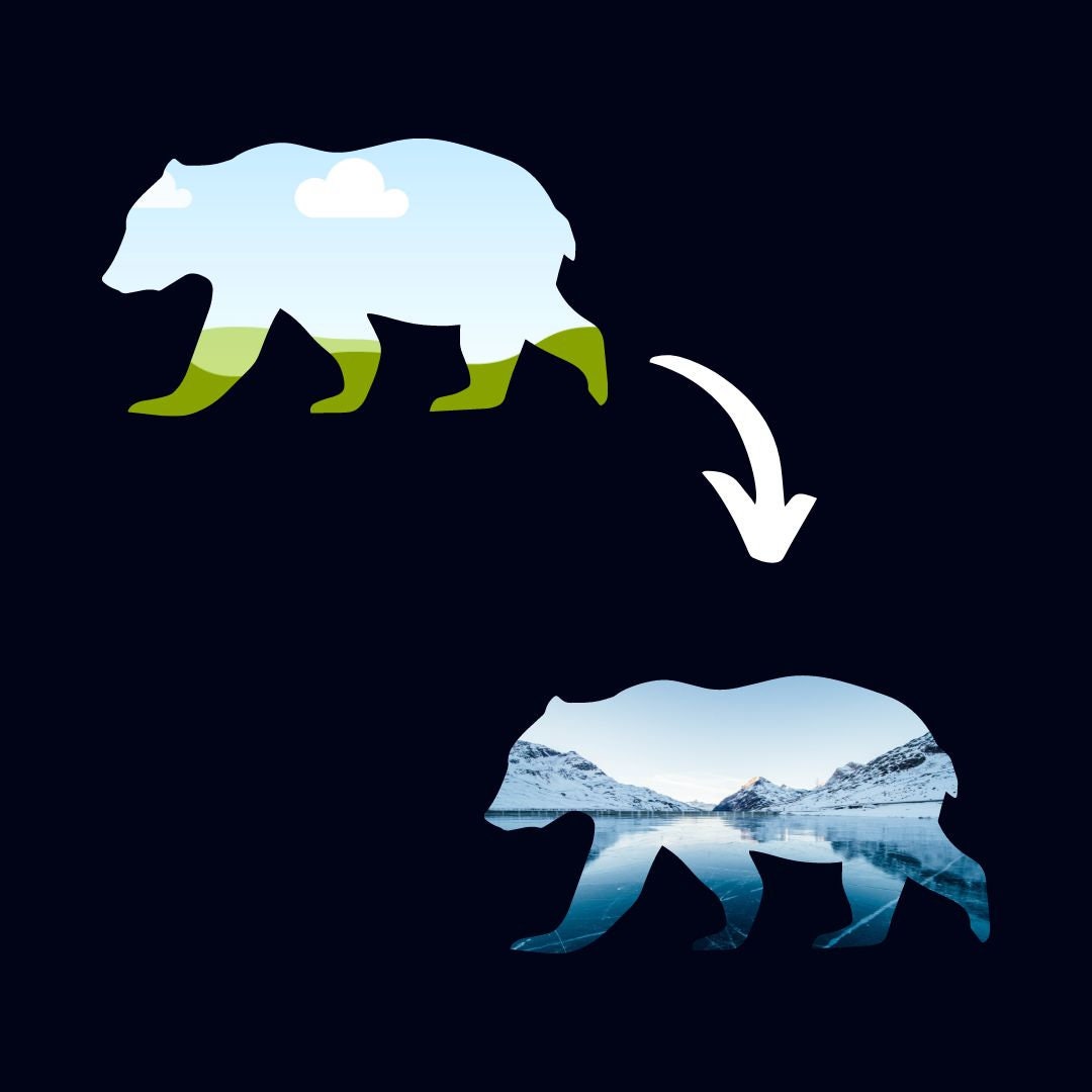 Editable Canva Frame Template Wild Animals Drag and Drop Canva Elements ...