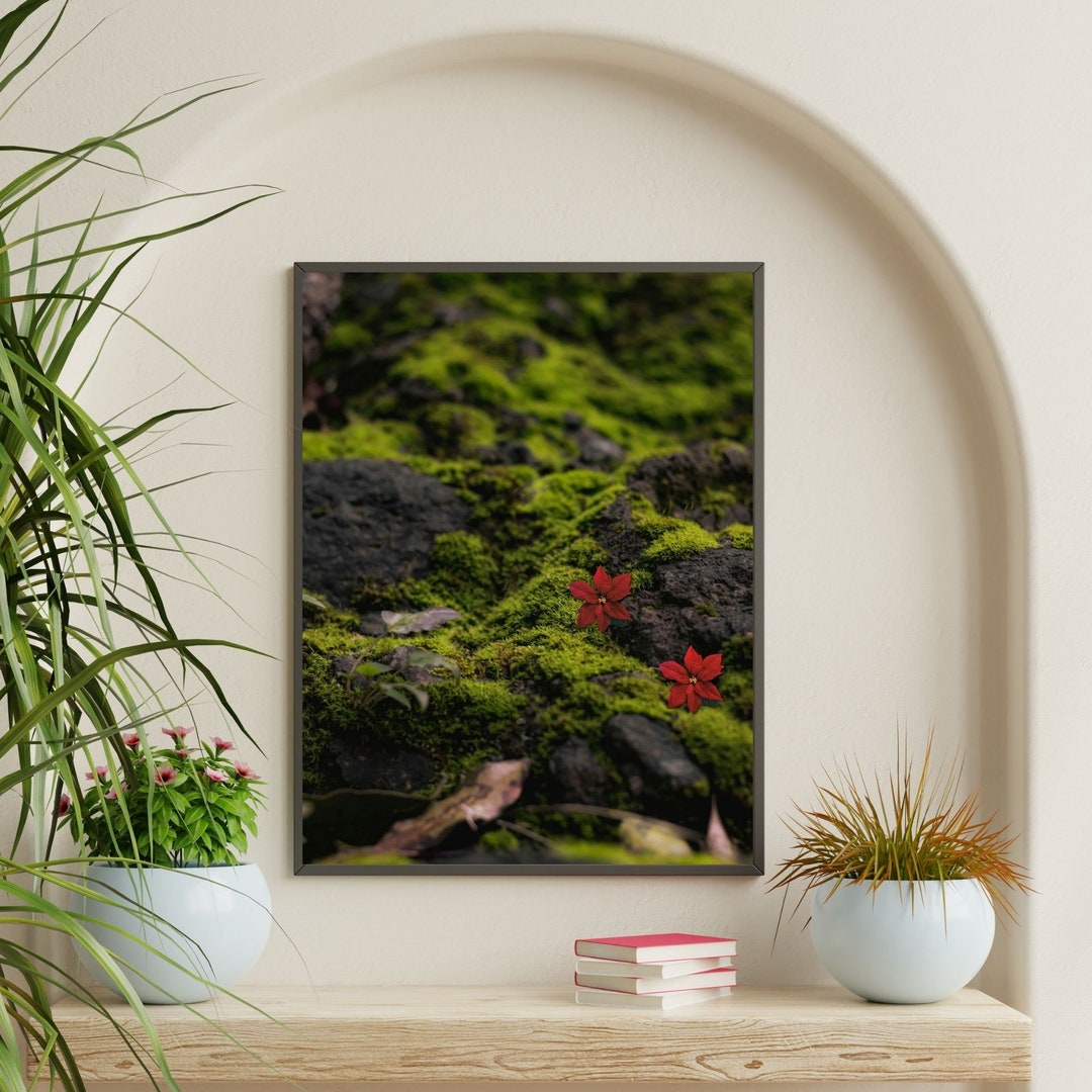 Moss Wall Art, Moss Art, Large Wall Art, Moss Decor, Plant Art, Wall ...