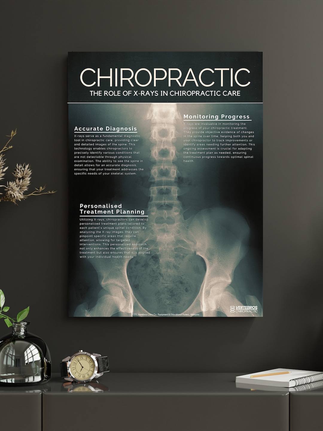 Chiropractic X-ray Educational Poster - Etsy