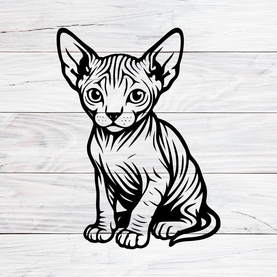 Sphynx Cat Svg, Sphynx Kitten Svg, Sphynx Hairless Cat, for Cat Lovers ...