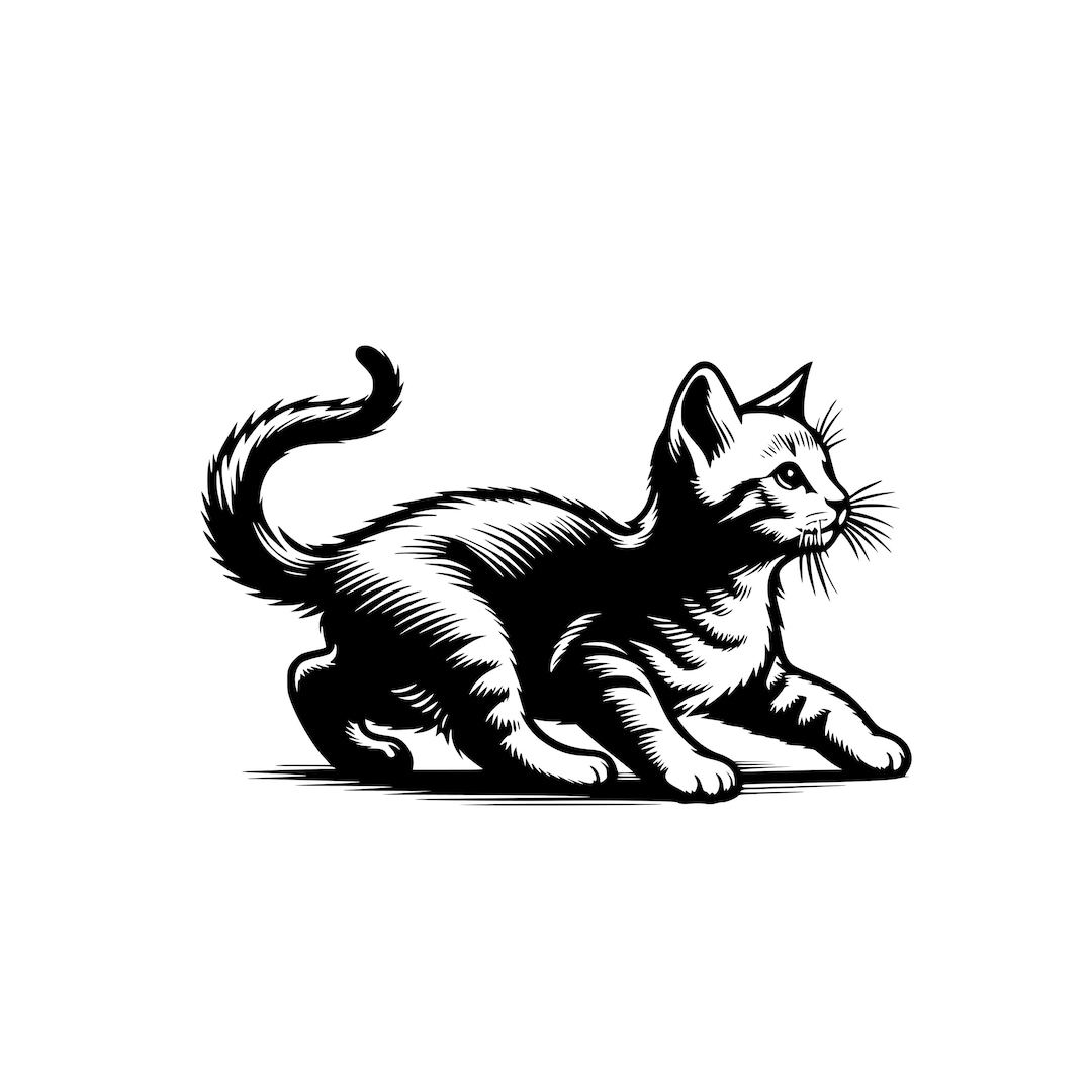 Playful Ginger Cat Crouching Low, Ready to Pounce, Cute Cat ...
