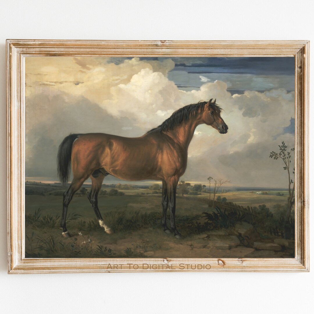 Vintage Horse Illustration, Aesthetic Horse Print Horizontal, Antique ...