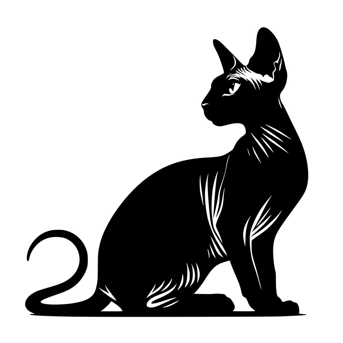 Sphynx Cat Svg, Elegante Cat Design, Ηairless Cat Illustration, Sphynx ...