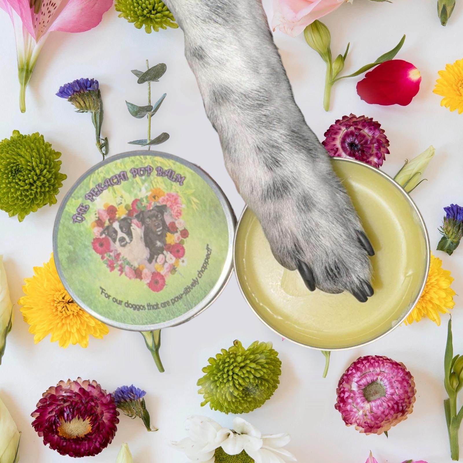 The Pekachi Pup Balm - Paw and Snout Balm for Dogs 2oz or the Pekachi ...