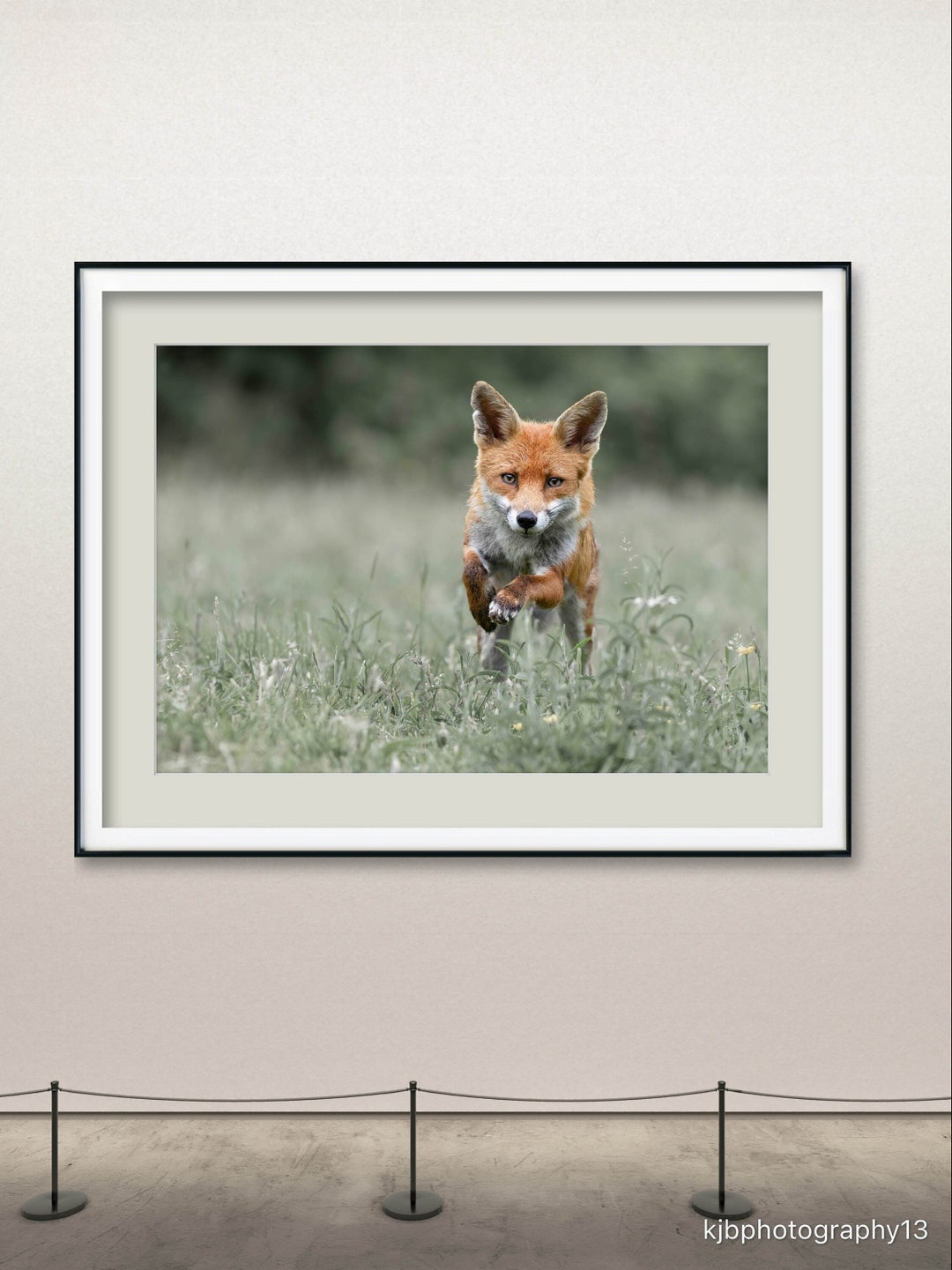 Wildlife Nature Print Red Fox Frame Not Included. - Etsy