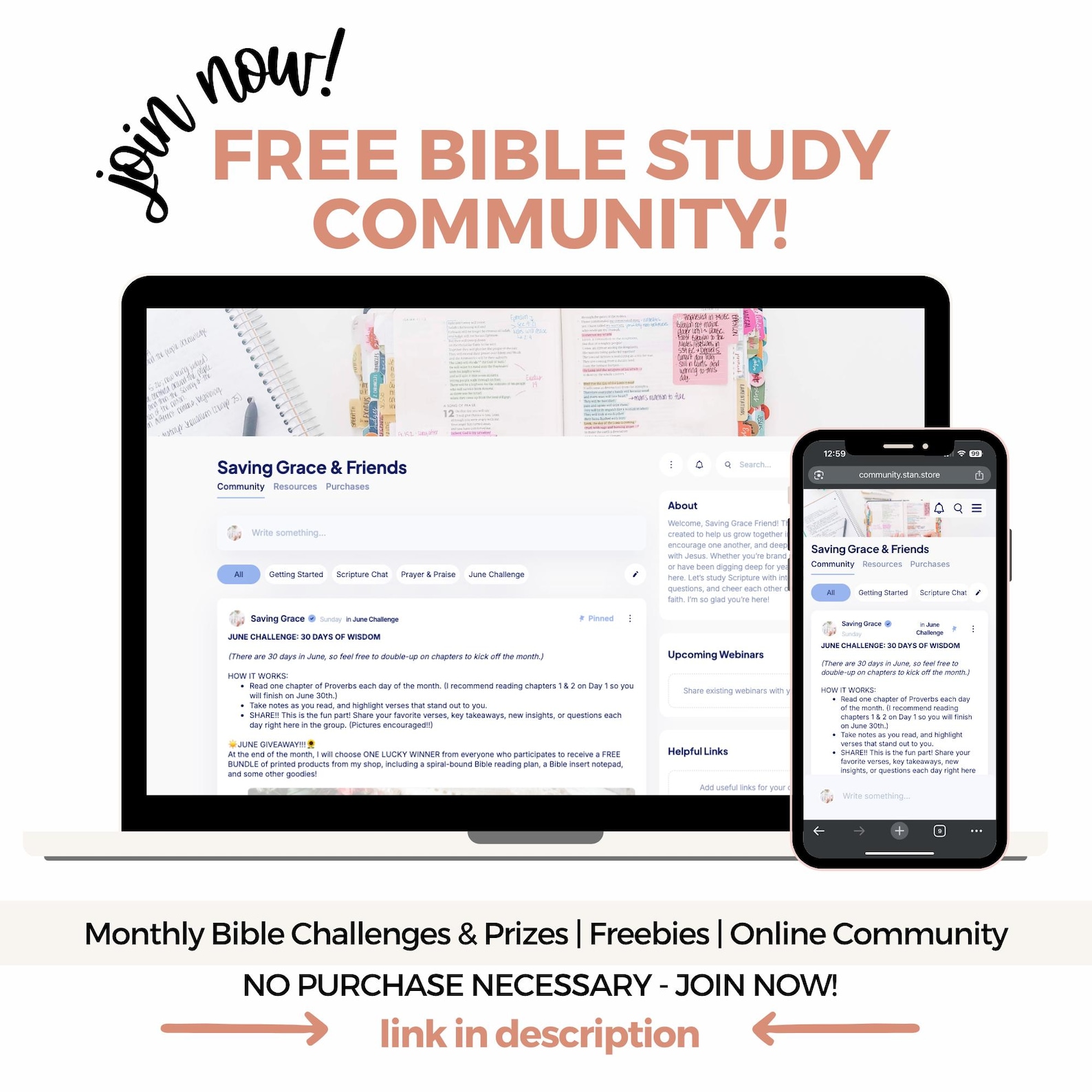 Heroes of the Faith Hebrews 11 Bible Insert Study Guide Bible Bookmark ...