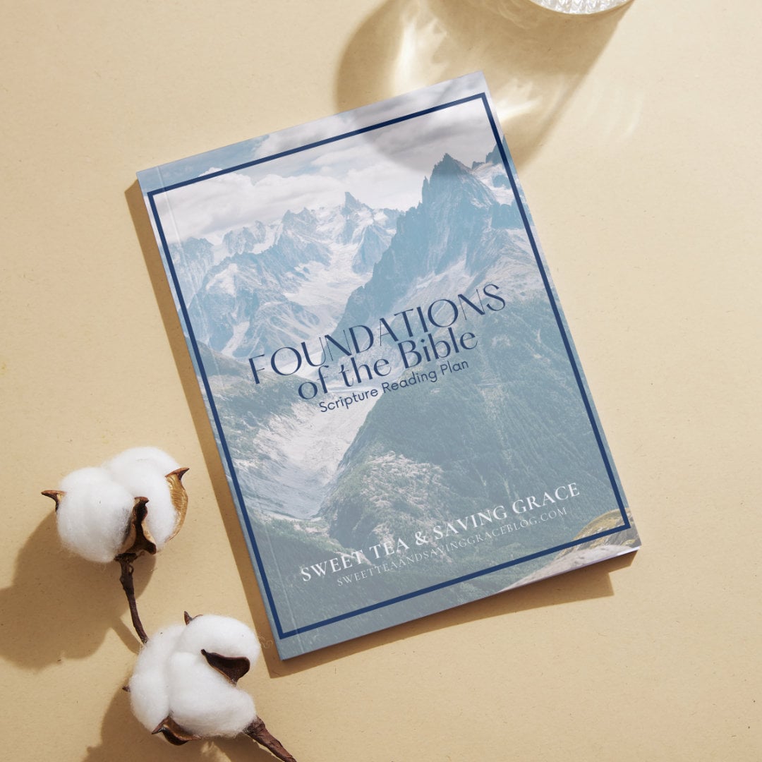 Foundations of the Bible Scripture Reading Plan Entire Bible Daily ...