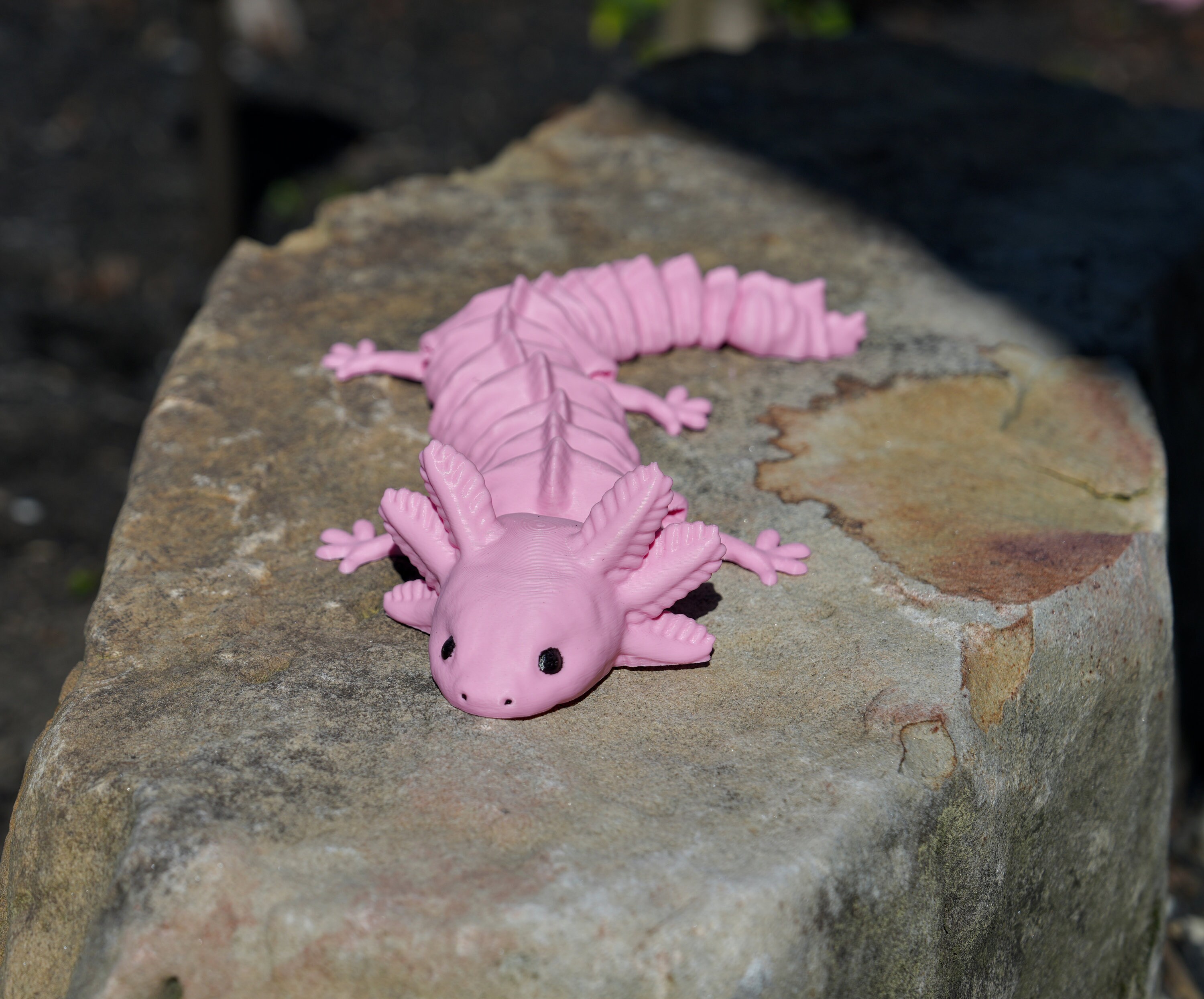 Foot-long Axolotl 3d Printed Flex Toy - Etsy