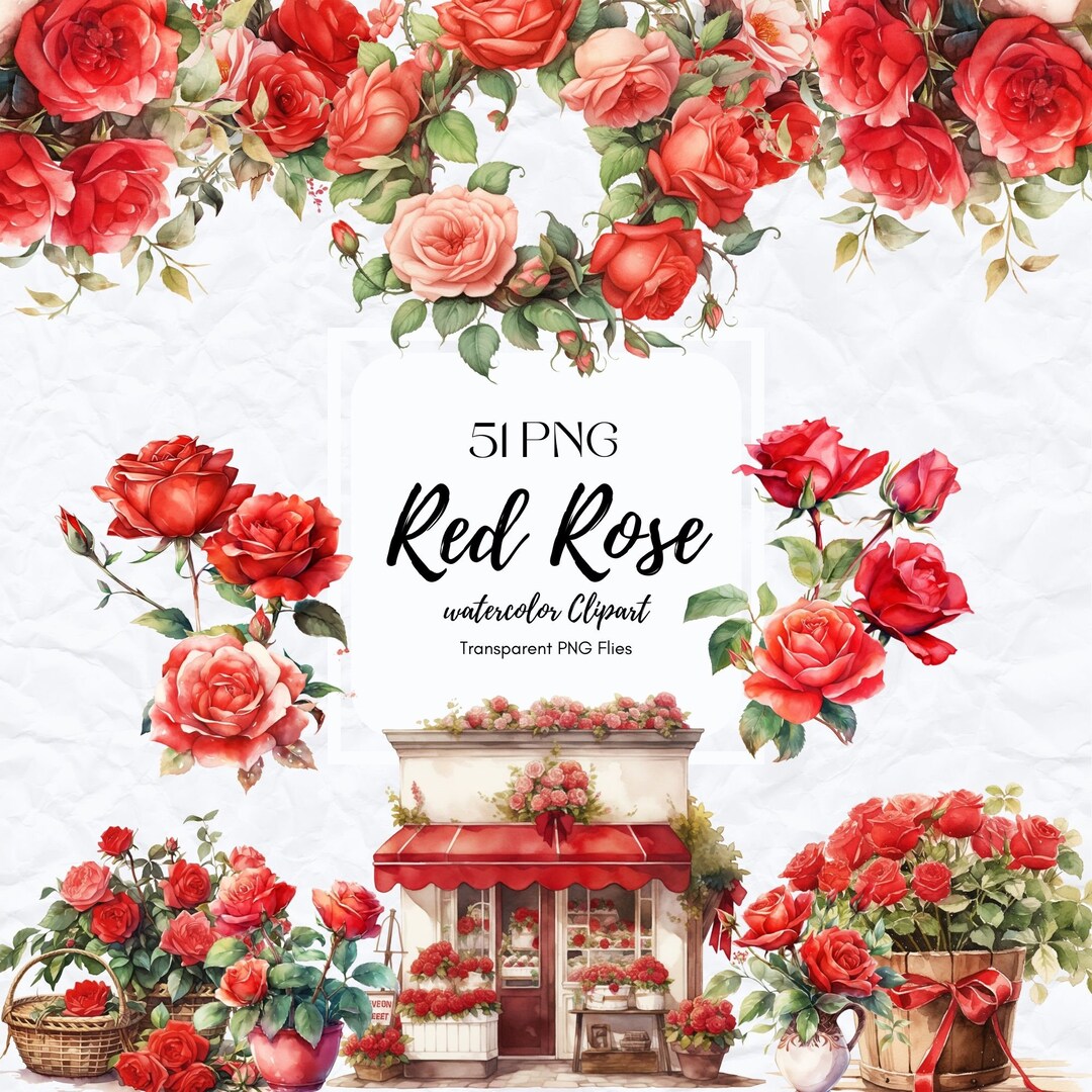 Watercolor Red Rose Clipart Bundle , 51 PNG File , Valentines Day ...