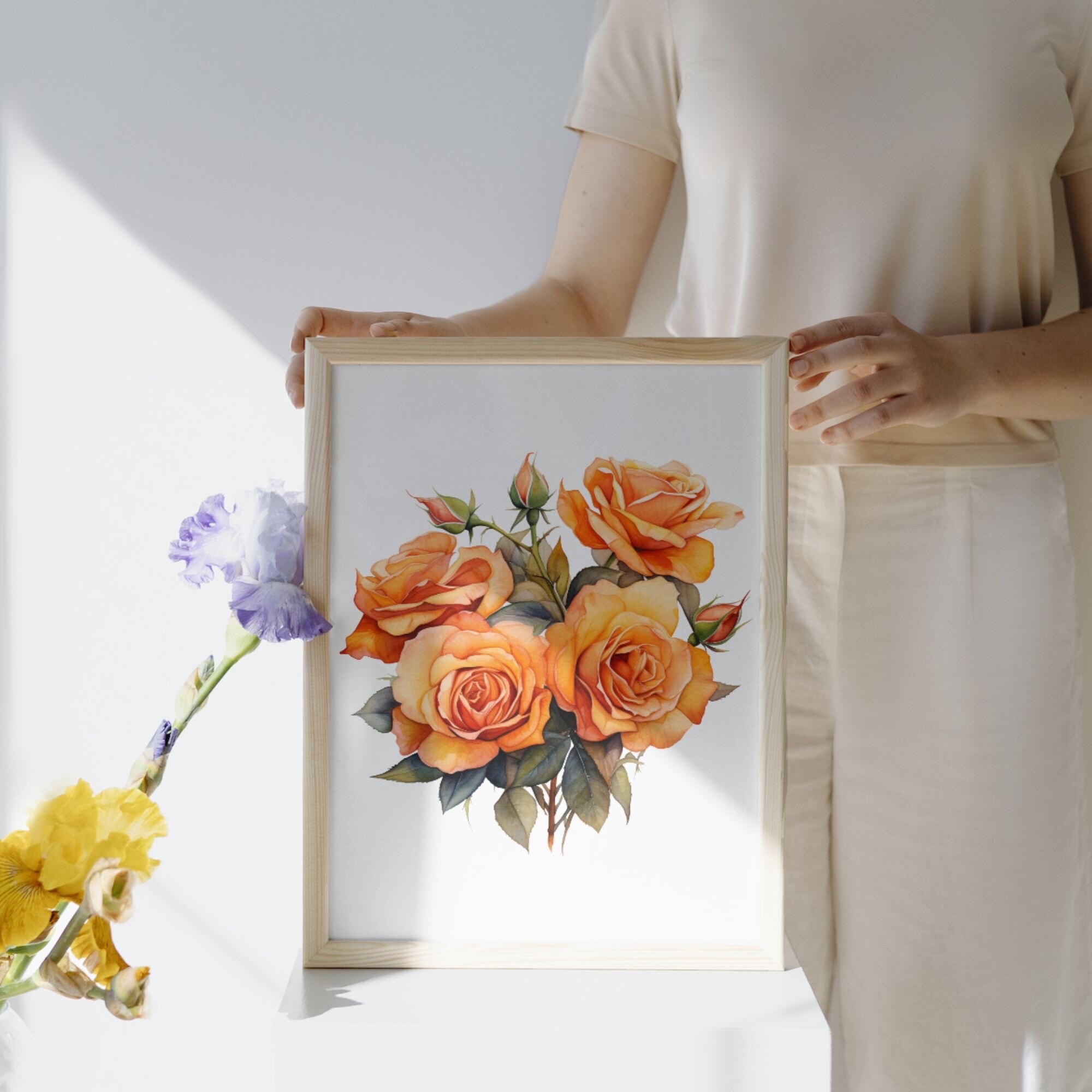 Watercolor Orange Rose Clipart Bundle , Elegant Floral Illustrations ...