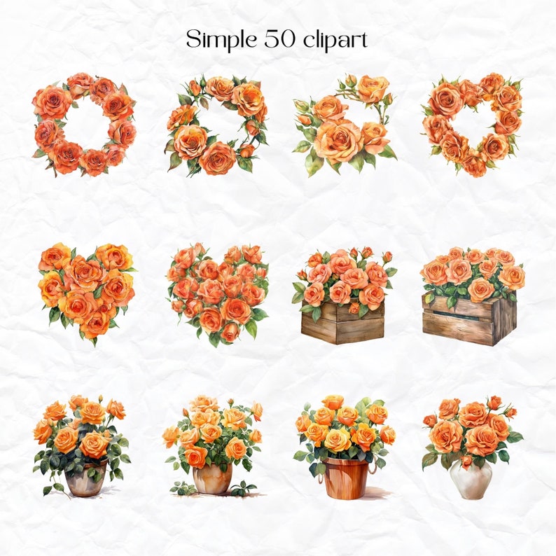 Watercolor Orange Rose Clipart Bundle , Elegant Floral Illustrations ...