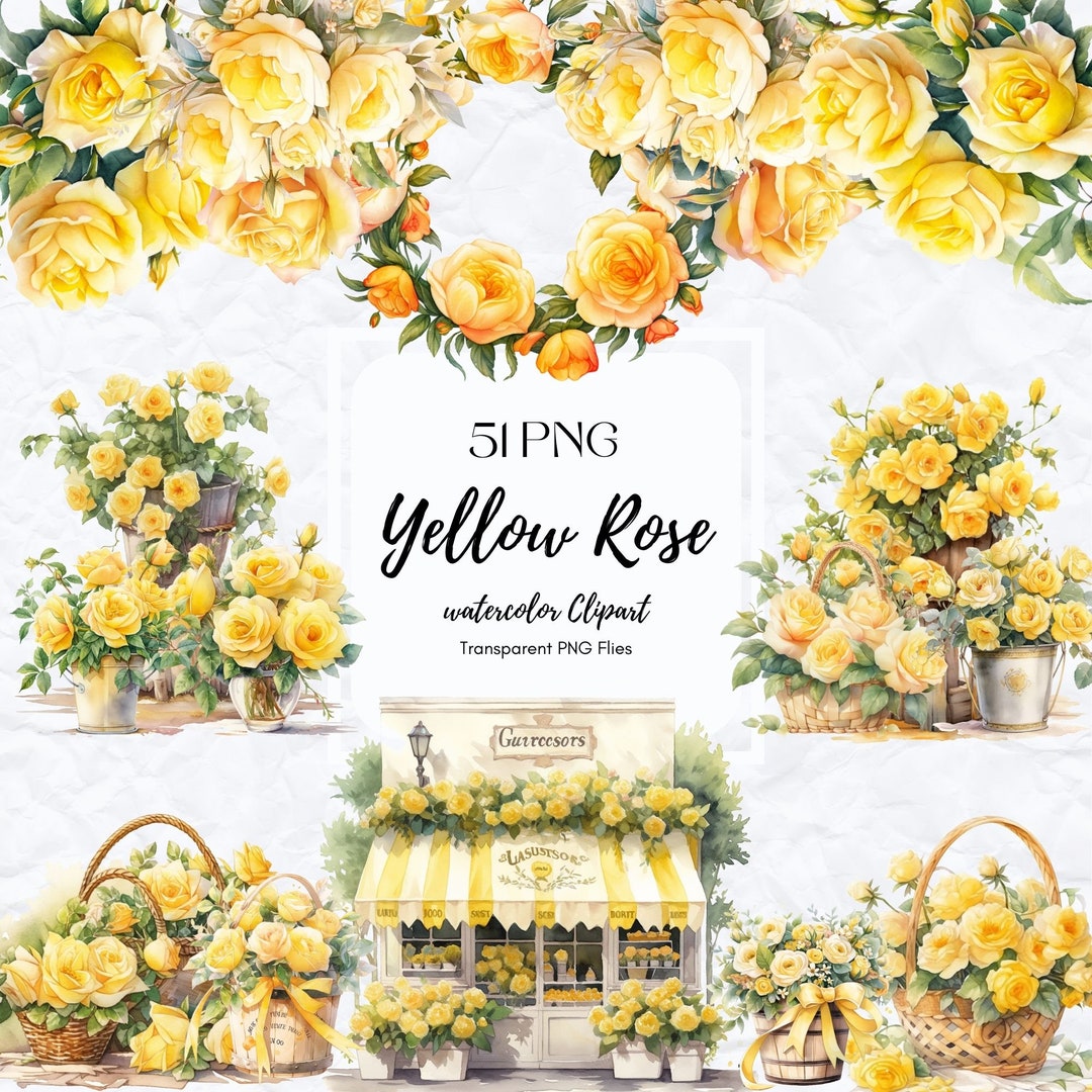 Watercolor Yellow Roses Clipart Bundle , 51 PNG File , Flower ...