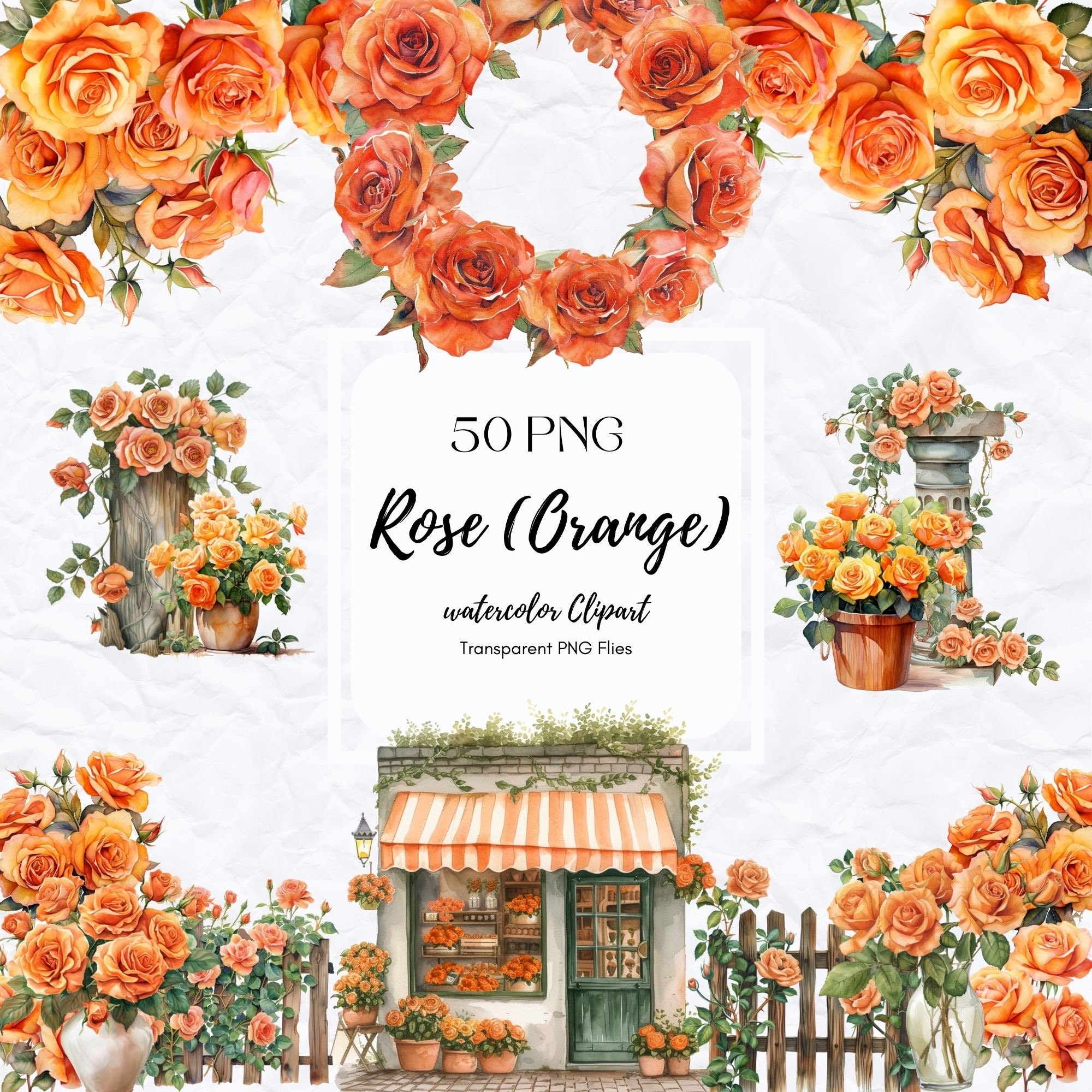 Watercolor Orange Rose Clipart Bundle , Elegant Floral Illustrations ...