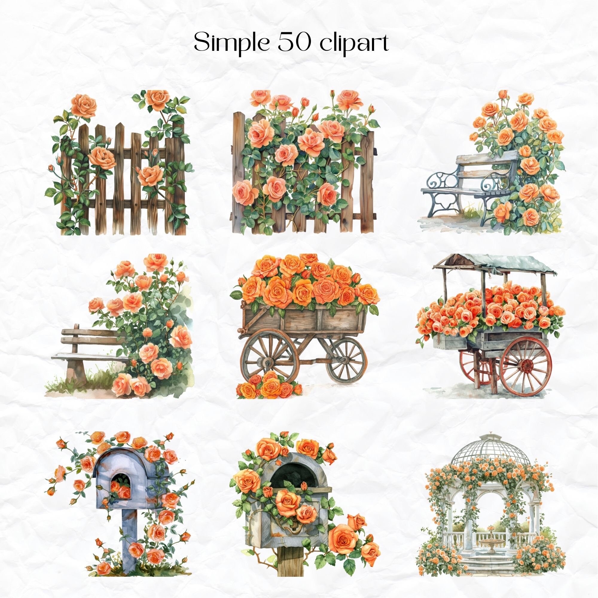 Watercolor Orange Rose Clipart Bundle , Elegant Floral Illustrations ...