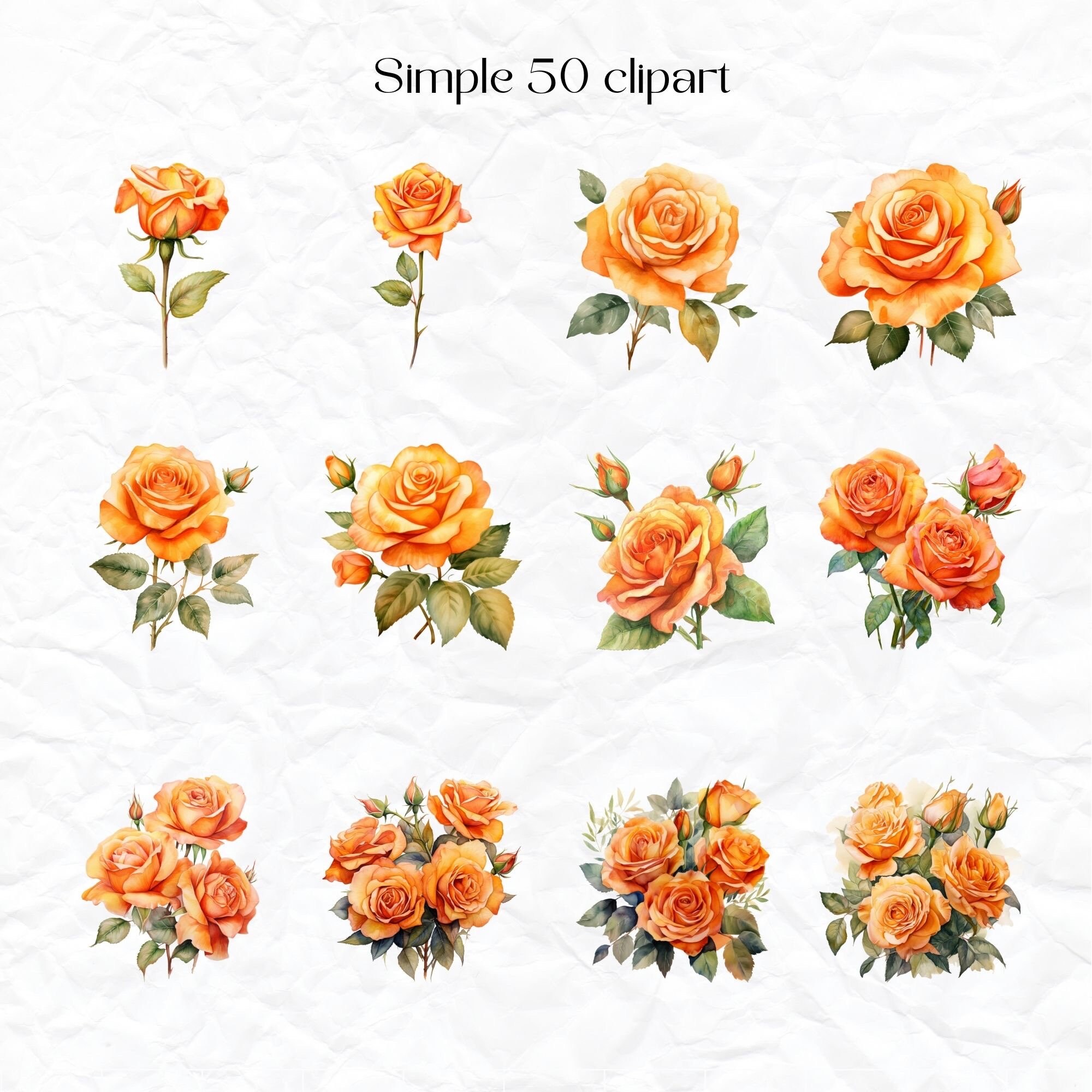 Watercolor Orange Rose Clipart Bundle , Elegant Floral Illustrations ...