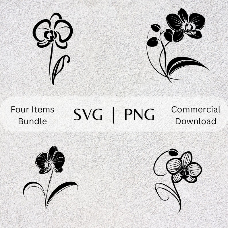 Orchid Flower SVG PNG Collection Nature Hand Drawn Clipart Plants ...