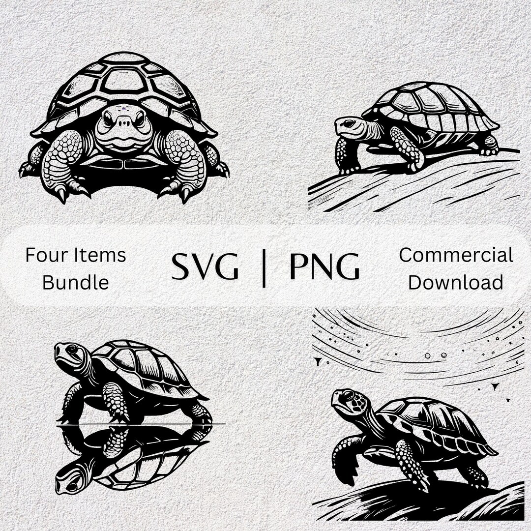 Turtle Illustration SVG PNG Collection Nature Hand Drawn Clipart Vector ...