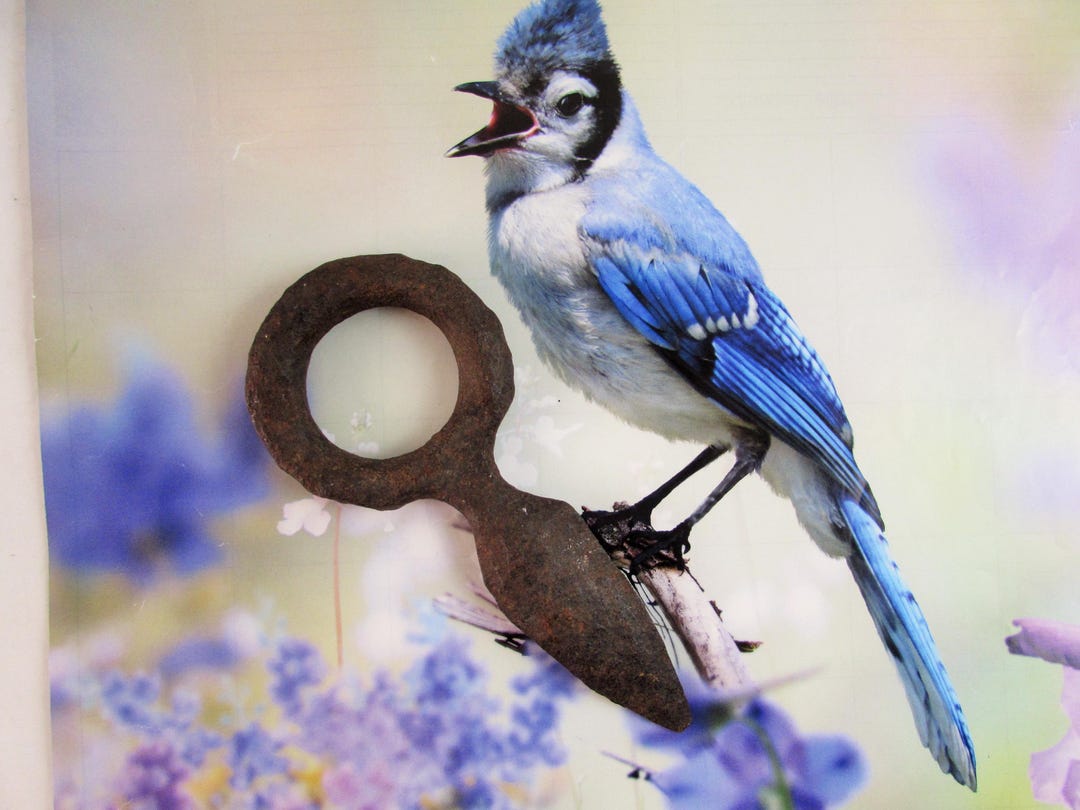 Primitive Iron "log Dog" Logging Spike - Etsy