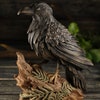 Crowned Crow Statue - Etsy