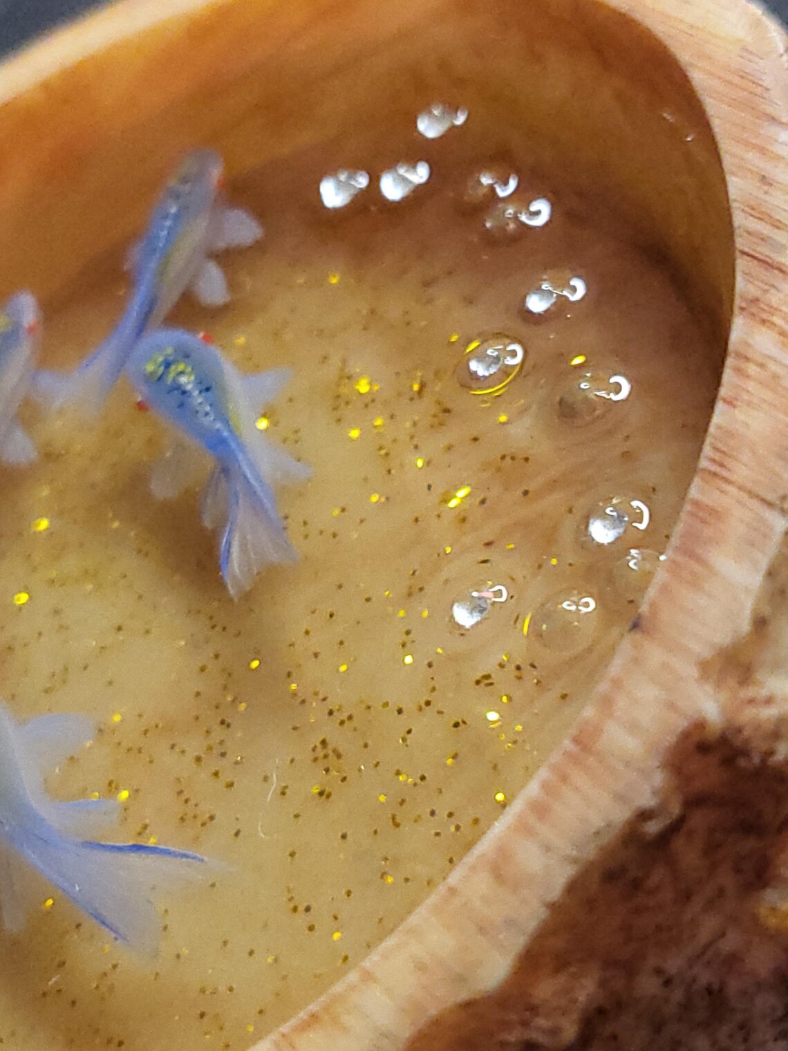 3D Koi Fish Resin Hand Painting Unique Gift for Fish Lovers Lucky Feng ...