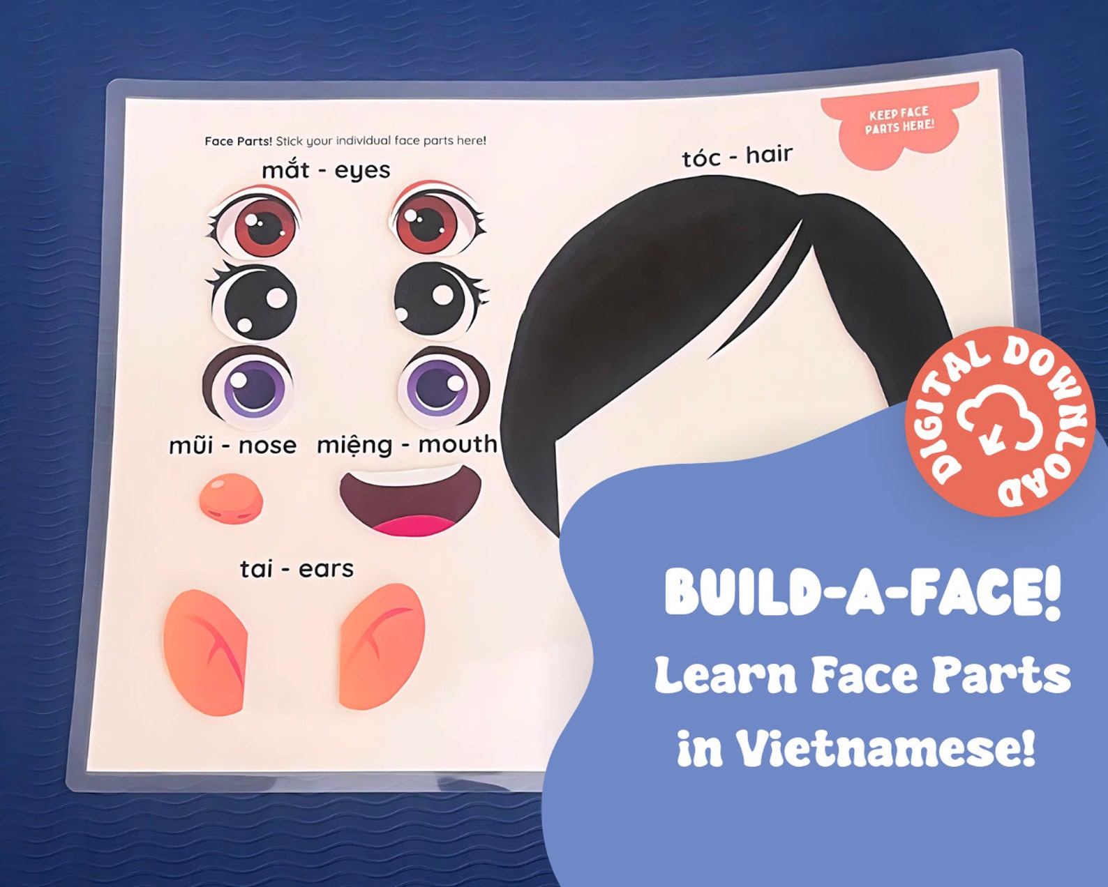Build A Face Kid's Activity | Learn Body Parts in Vietnamese - Face ...