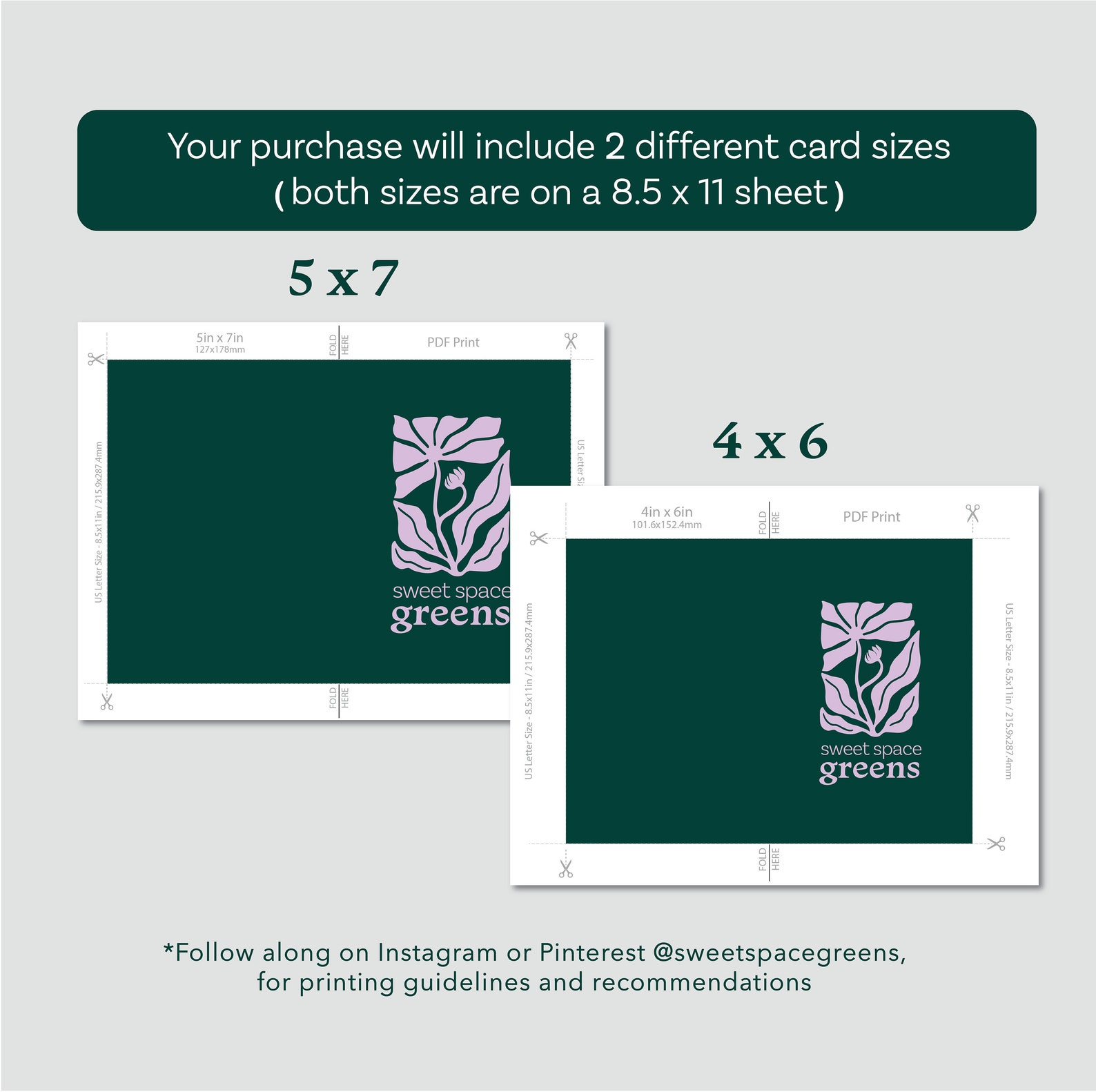 Vibrant Botanical Thank You Card, Colorful Thank You, Floral Card of ...