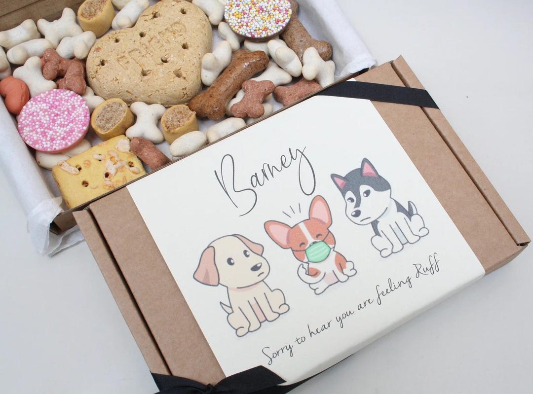 Personalised Get Well Soon Dog Treat Box | Dog Gift Box | Letterbox Dog ...