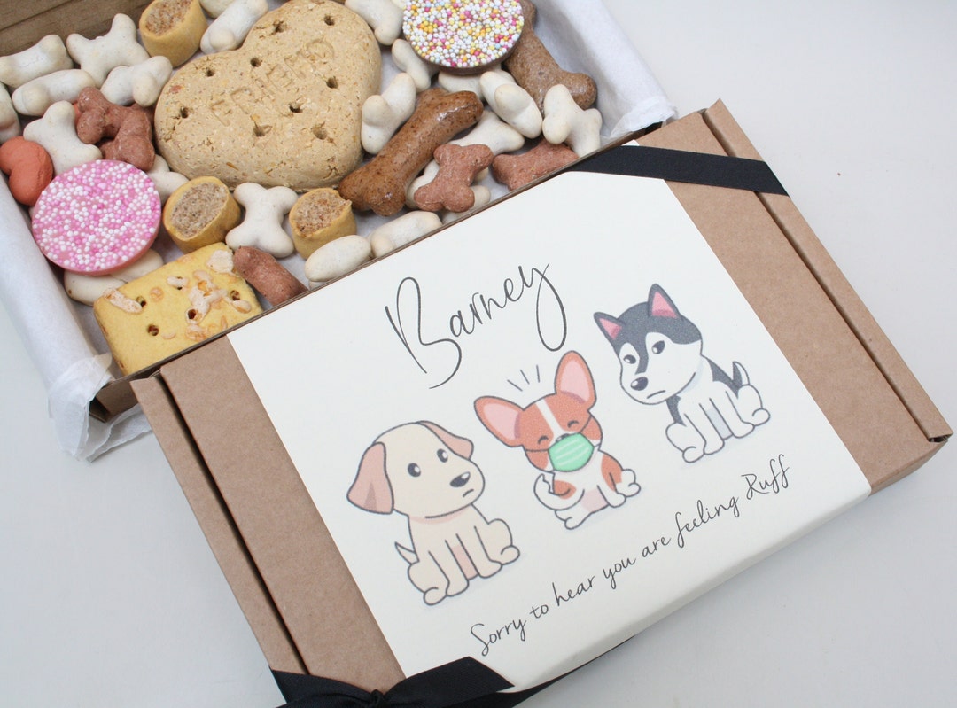 Personalised Get Well Soon Dog Treat Box Dog Gift Box Letterbox Dog ...