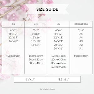 Hiragana and Katakana Basic Charts With Romaji and Stroke Order ...