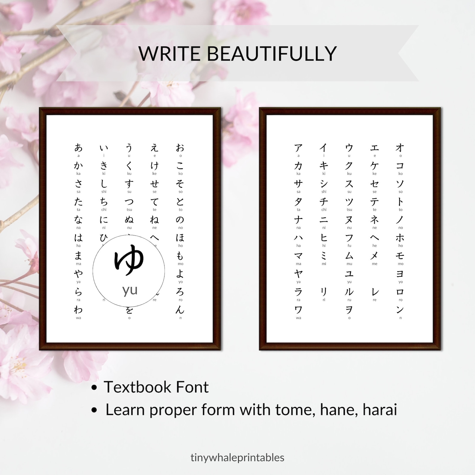 Hiragana Katakana Chart With Romaji/english, Japanese Alphabet Letter ...