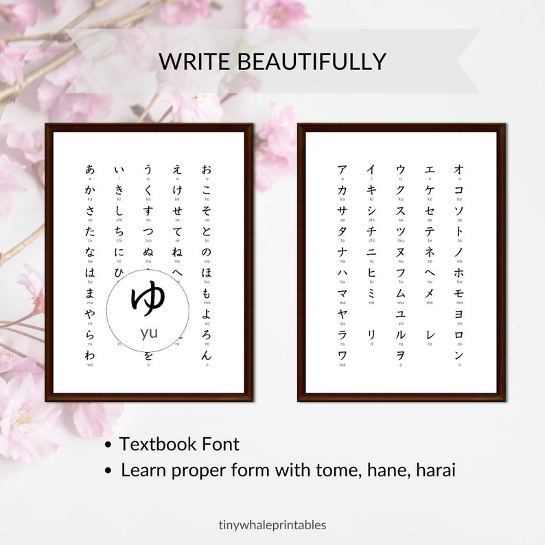 Hiragana Katakana Chart With Romaji/english, Japanese Alphabet Letter ...