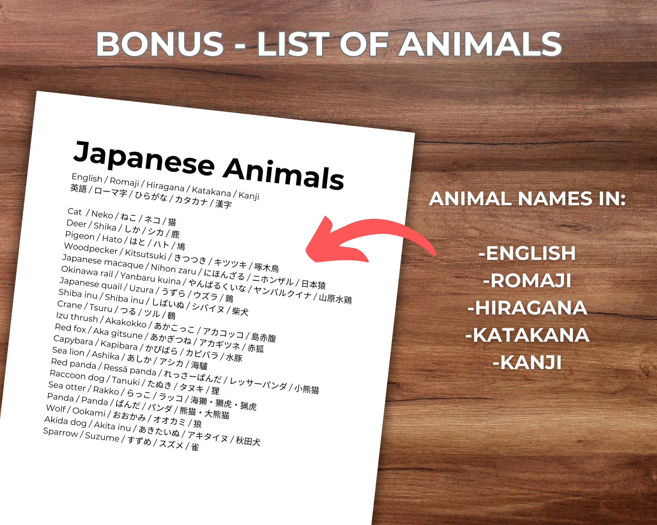 Japanese Coloring Book, Easy Origami Animal Sheet, Bilingual Kid ...