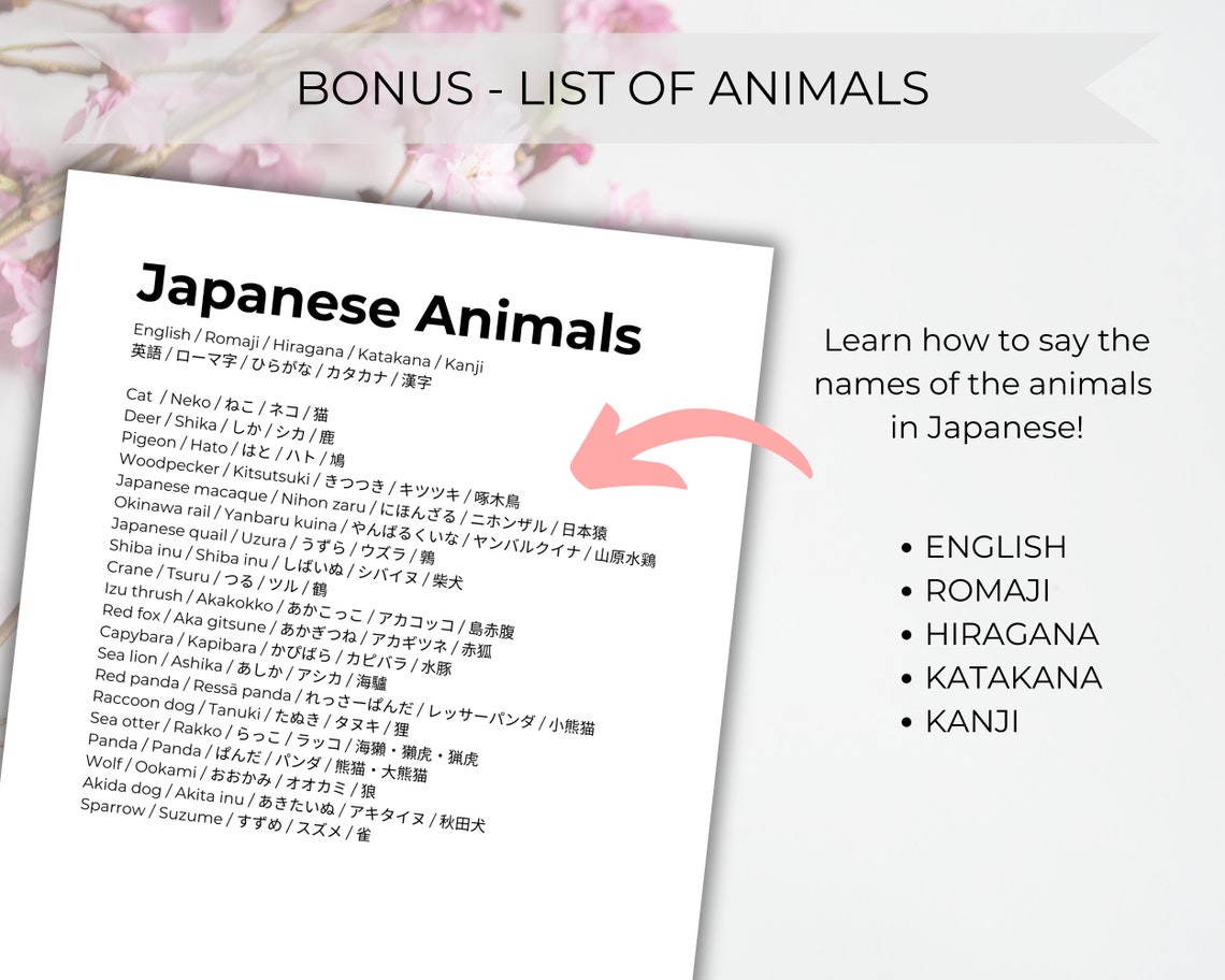 Japanese Coloring Book, Easy Origami Animal Sheet, Bilingual Kid ...