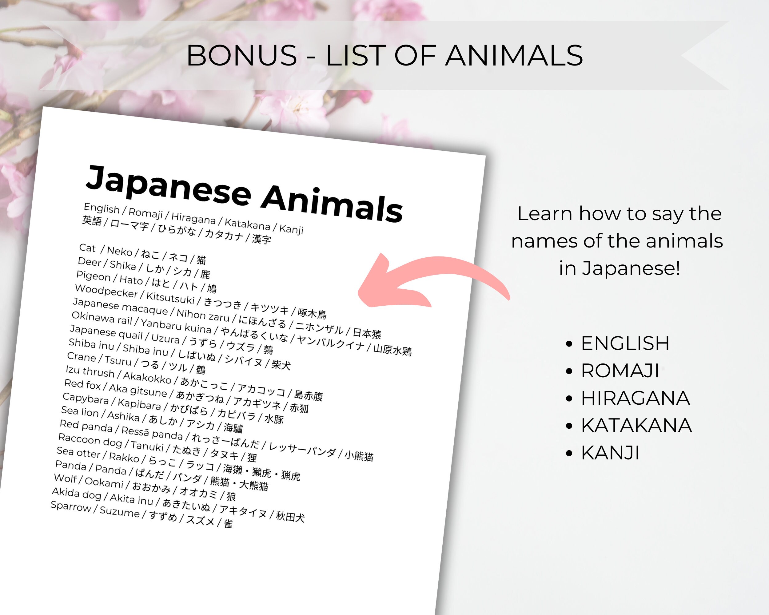 Japanese Coloring Book, Easy Origami Animal Sheet, Bilingual Kid ...