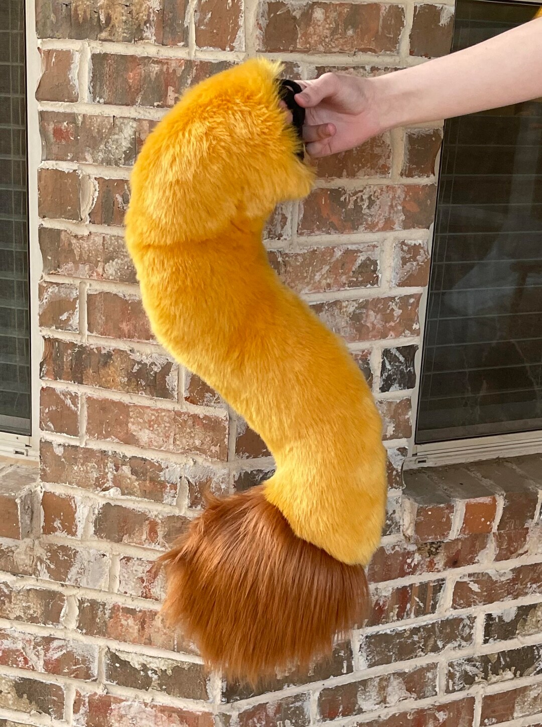 Golden Lion Tail - Etsy