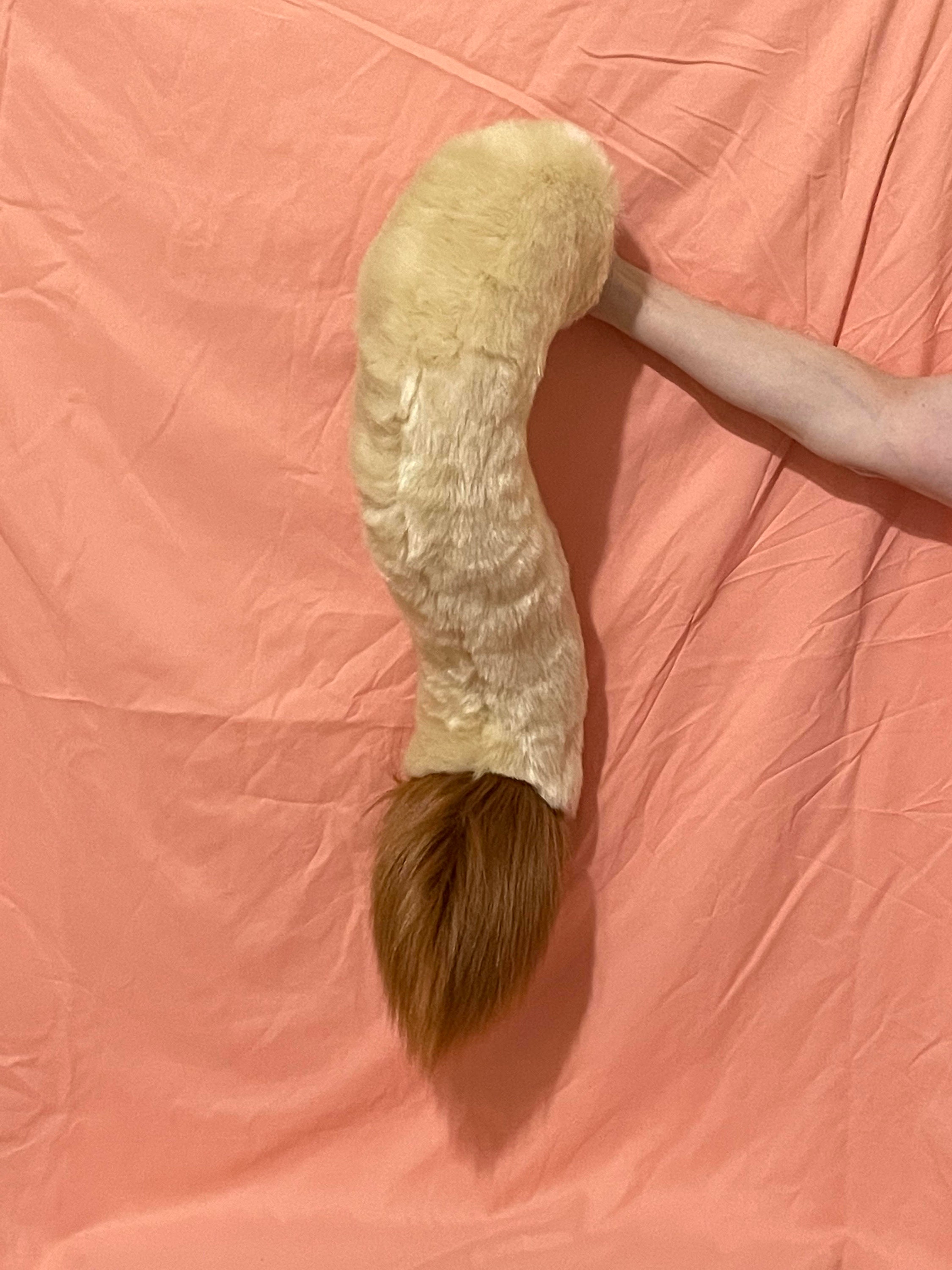 Beige Lion Tail - Etsy