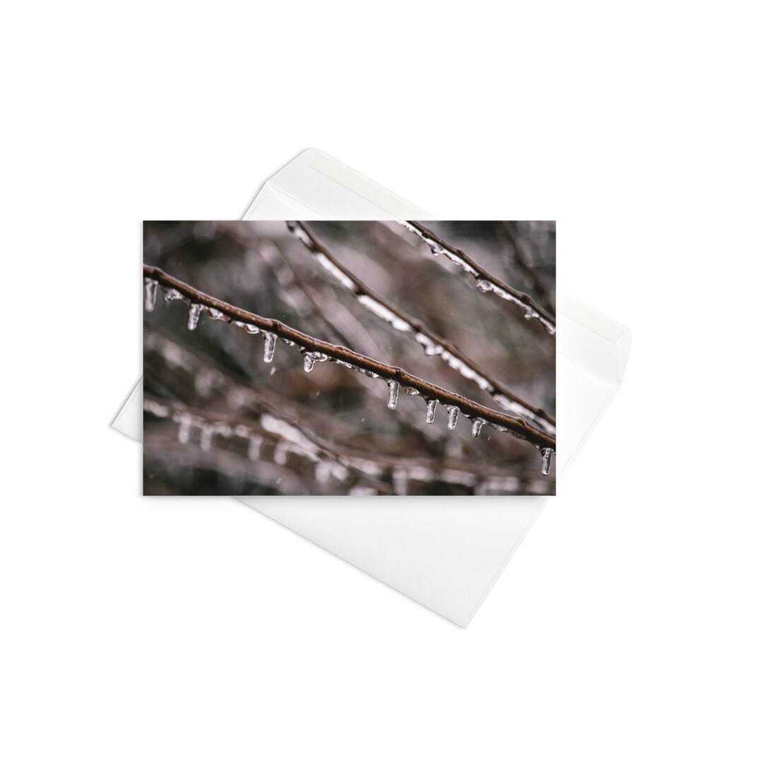 Greeting Card Frozen Branch Stunning Art Cold Blur Blank Card ...
