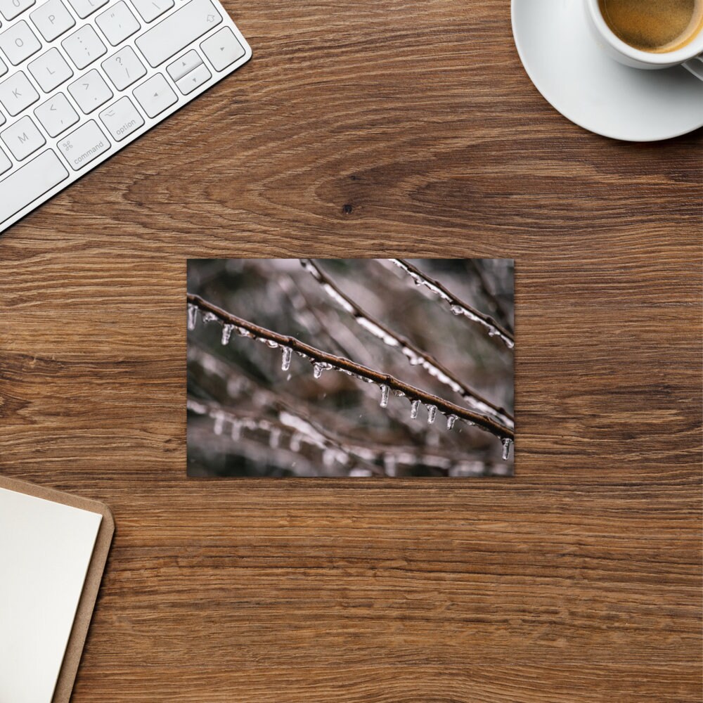 Greeting Card Frozen Branch Stunning Art Cold Blur Blank Card ...