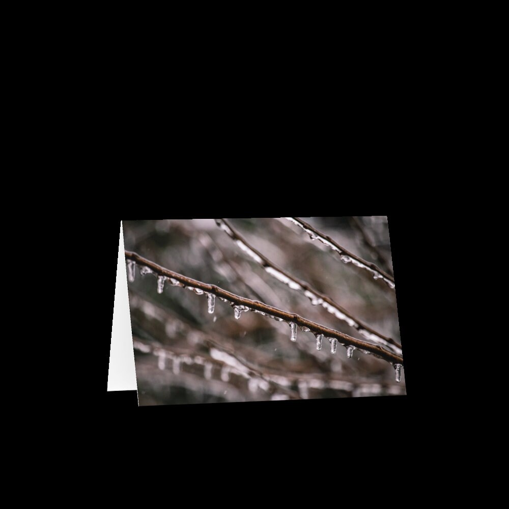 Greeting Card Frozen Branch Stunning Art Cold Blur Blank Card ...