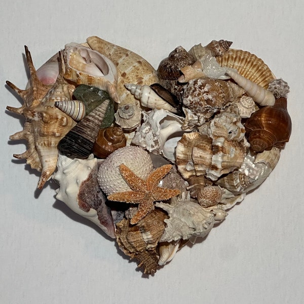 Seashell Heart - Etsy