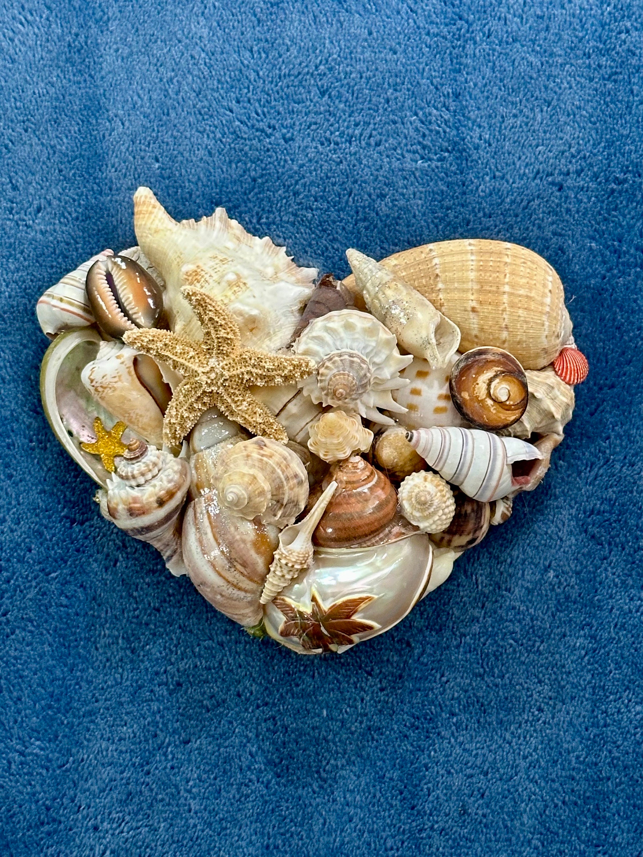Natural Seashell Heart Shell Heart Beach Wall Decor Shell Decor ...