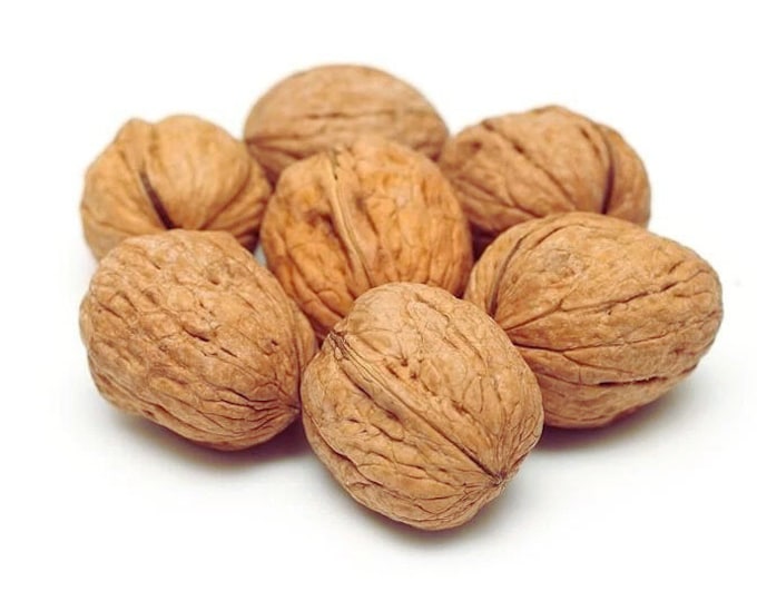 California Walnuts in Shell - Etsy