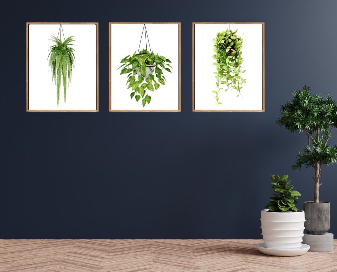 3 Digital Posters / 3 Hanging Plants / Plant Wall Art - Etsy