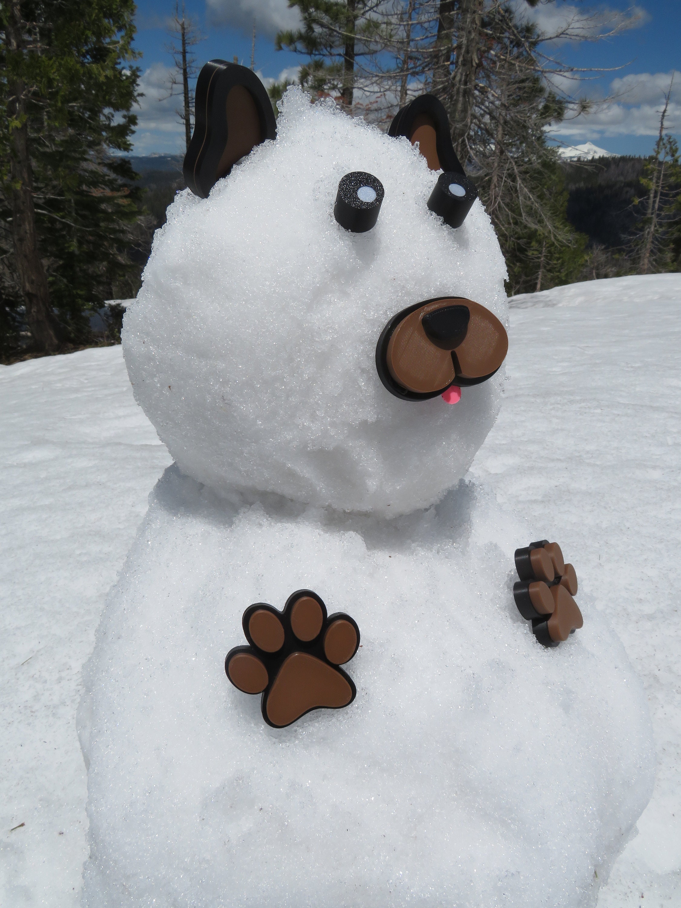Snow Dog Building Kit for Family Winter Outdoor Activities: Unique ...