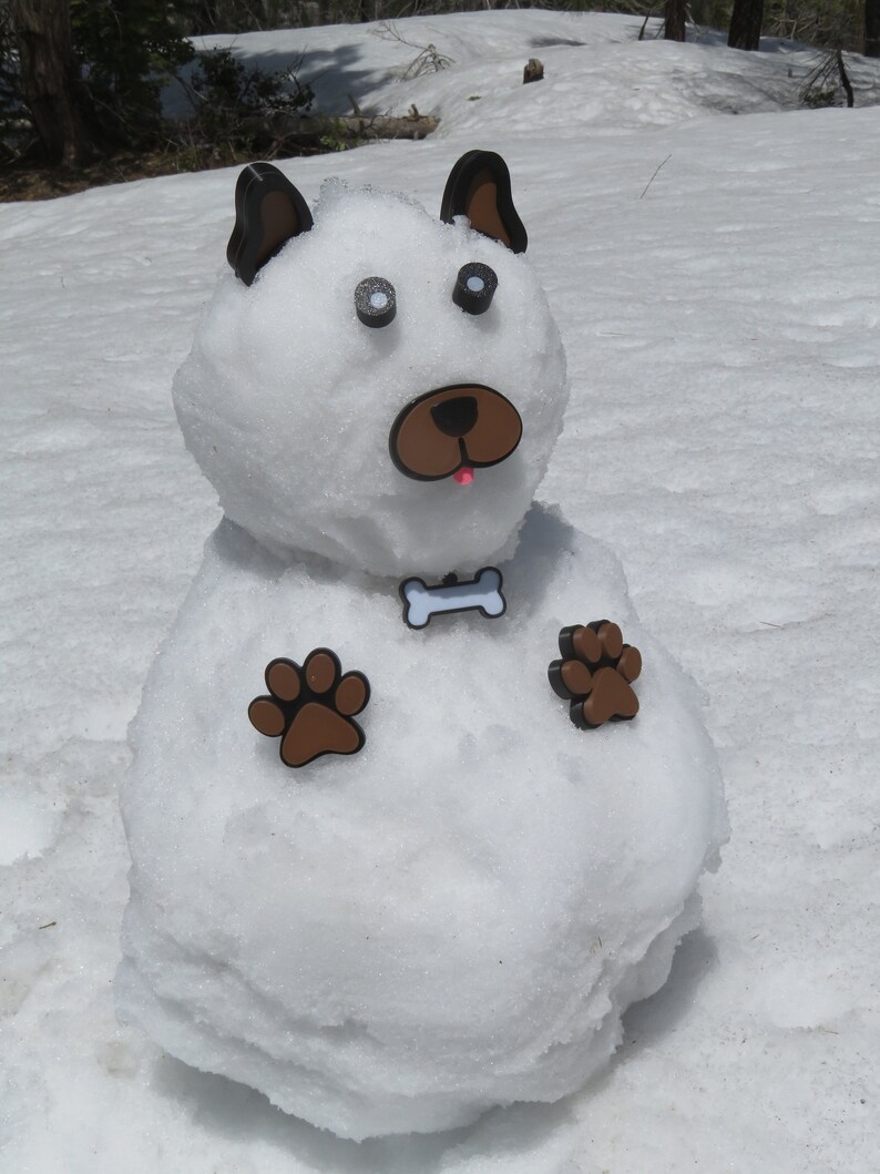 Snow Dog Building Kit for Family Winter Outdoor Activities: Unique ...